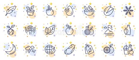 Outline Set Of Leaves Orange And Juice Line Icons For Web App Pictogram Icon Vector Stock