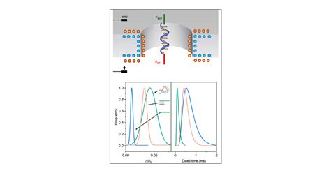 Conformation Influence Of Dna On The Detection Signal Through Solid State Nanopores Langmuir