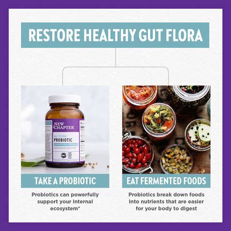 How To Restore Healthy Gut Flora With Probiotics
