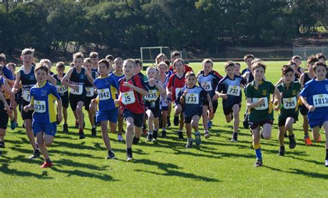 Cross Country Sswa