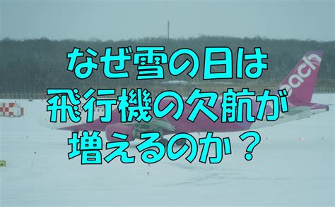 【理由を解説】なぜ雪の日は飛行機の欠航が増えるのか？ パイロット日記