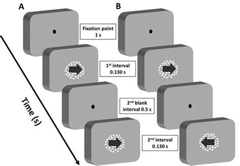 Schematic Representation Of The Motion Direction Discrimination Task A