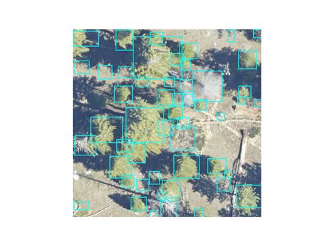 Getting Started Deepforest Documentation