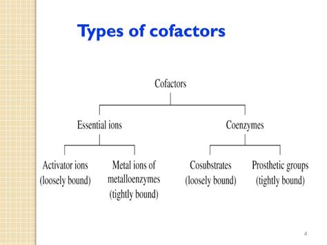 Ppt Co Enzymes And Cofactors Activity In Enzymes Powerpoint