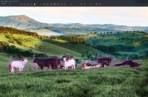 Data Labeling For Deep Learning A Comprehensive Guide Keylabs