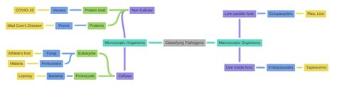 Classifying Pathogens Coggle Diagram