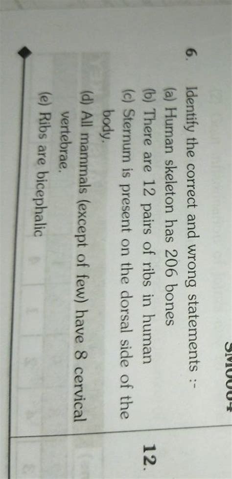 6 Identify The Correct And Wrong Statements A Human Skeleton Has 20