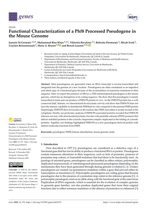 Pdf Functional Characterization Of A Phf8 Processed Pseudogene In The