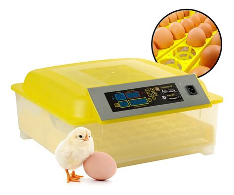 Incubadoras De Pollos Automaticas Mercadolibre 📦