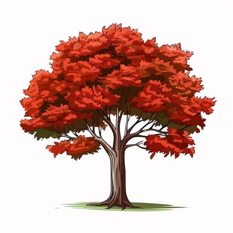 Premium Vector Maple Tree Flat Vector Illustration Maple Tree Cartoon Hand Drawing Isolated