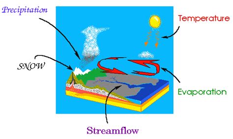 Percolation Water Cycle Definition Percolation Water Cycle Definition