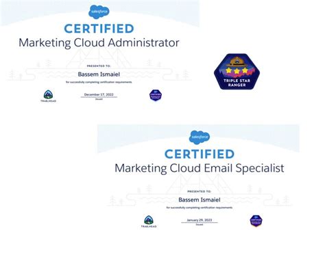 Bassem Ismaiel On Linkedin Salesforce Trailhead Leadership Trailhead Marketingcloud… 22