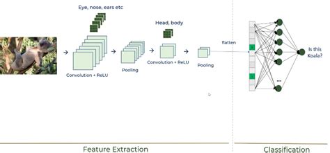 Image Learning Naukri Code