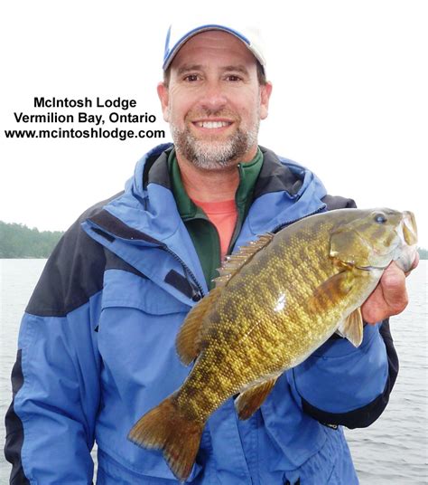 Trophy Smallmouth Bass Pictures