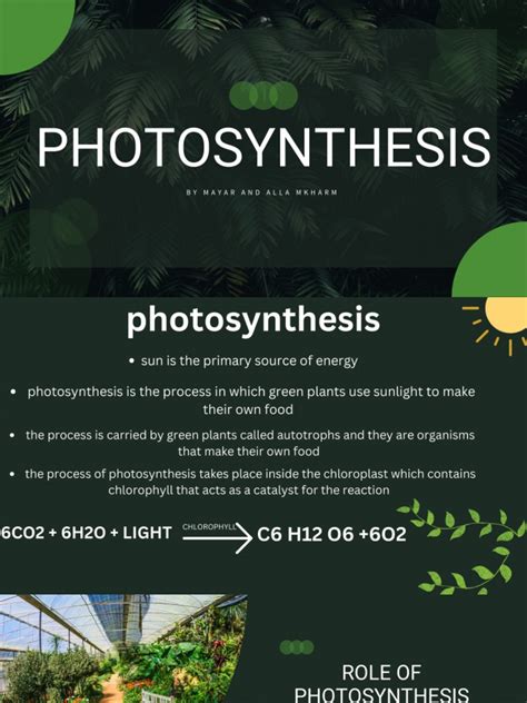 Photosynthesis Pdf