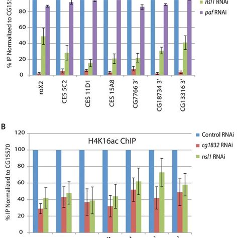 Nsl1 And Cg1832 Contribute To Msl Complex Recruitment A Chromatin Download Scientific Diagram
