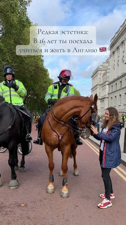 тг Dassha Hii Youtube