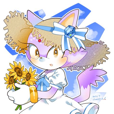 Blaze The Cat Sonic Drawn By Kusunoki Cherry Danbooru