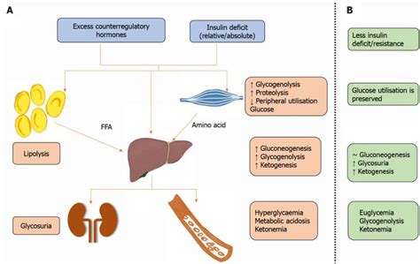 Euglycemic Dka A Missed Diagnosis Review