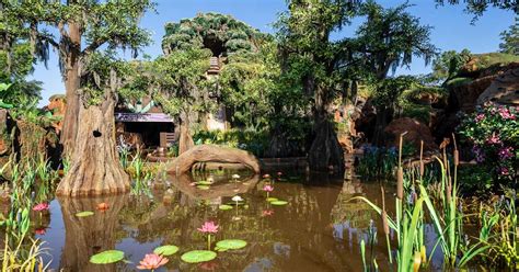 Tianas Bayou Adventure Exterior And Queue Photo 7 Of 65