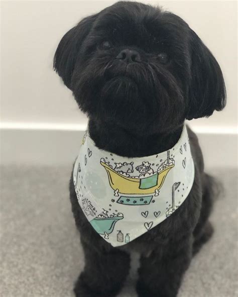 Call Me Bubbles Darling