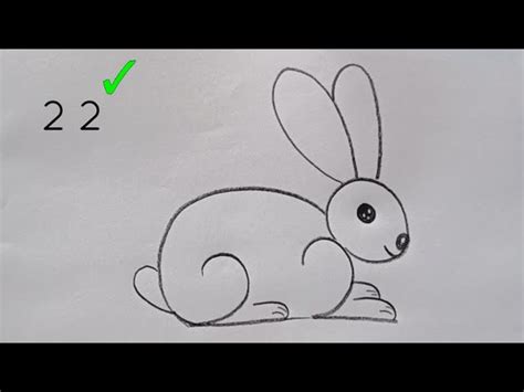 How Draw A Rabbit