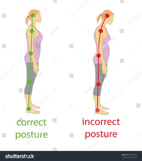 Correct Alignment Human Body Standing Posture Stock Vector Royalty