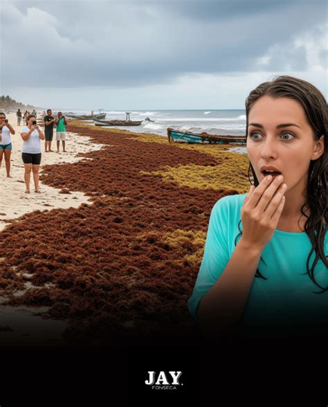 Jay Fonseca Nos Invade El Sargazo