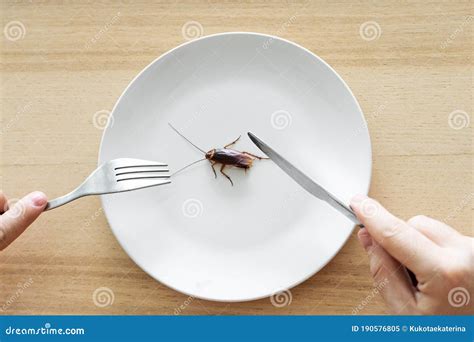 Top View A Man Eating A Cockroach Cockroach In A White Plate On The