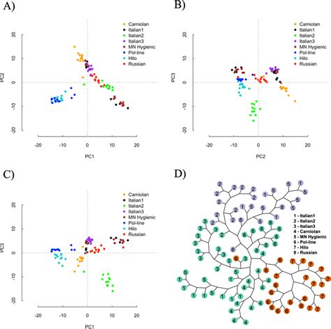 Principal Component Analysis Of Allele Frequencies By Principal Download Scientific Diagram