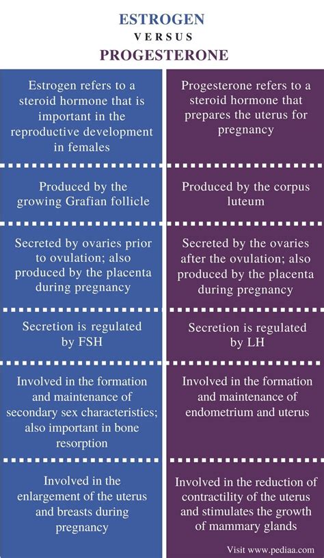 Difference Between Estrogen And Progesterone Infographical Poster
