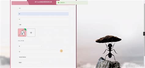 开题flask框架的相亲管理系统（程序论文python） Csdn博客