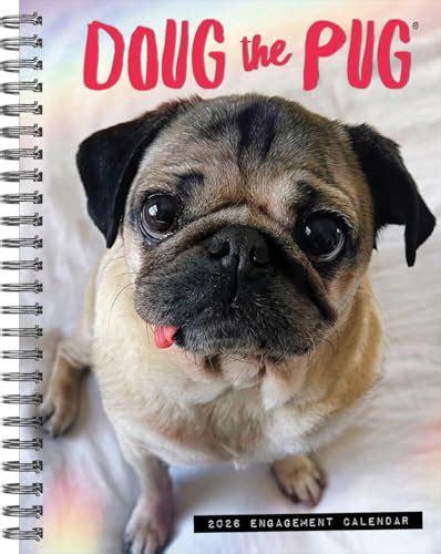 Doug The Pug 2026 Engagement Calendar 9781549254642 Abebooks
