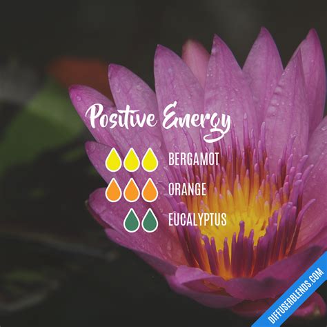 Positive Energy DiffuserBlends Com
