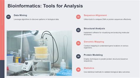 Bioinformatics Tools For Analysis Molecular Biochemistry Ppt Example