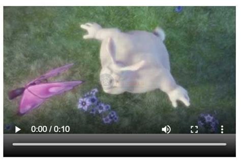 Video In HTML