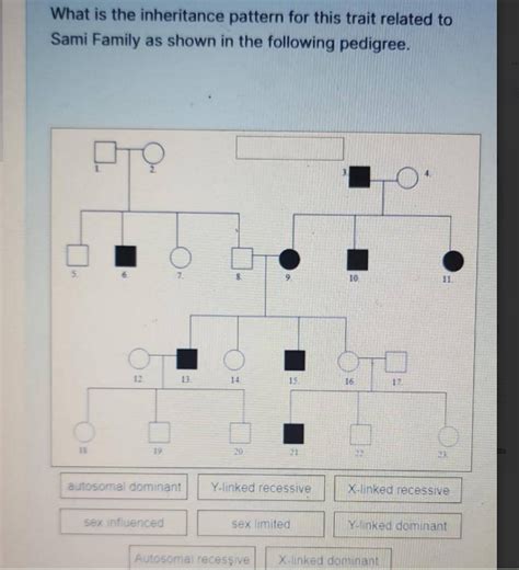Solved What is the inheritance pattern for this trait | Chegg.com
