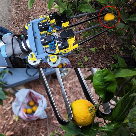 Innovative Grip Tape Robotic Gripper Uses Steel Measuring Tape To Reach