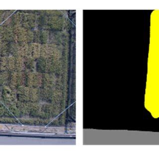 Crop Semantic Segmentation Image Semantic Segmentation Network IV Download Scientific Diagram