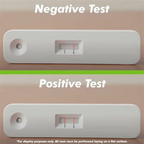 Trudetx Bed Bug Rapid Test 5 Stuks Bedwants Test Eversor