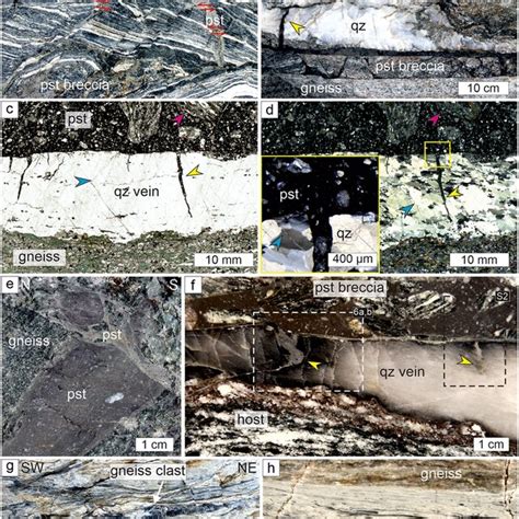 Fault Rocks At The Base Of The Silvretta Nappe A Pseudotachylyte Download Scientific Diagram