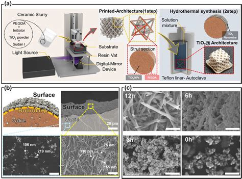 Schematic Of The Grown Tio2 Nanowires On A Microarchitecture Surface