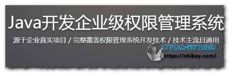java开发企业级权限管理系统ssm开发 完结 百度云下载 天下无鱼 资源博客