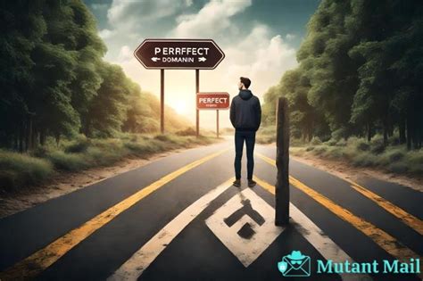 Domain Name Registration Guide Choosing The Perfect Domain For Your