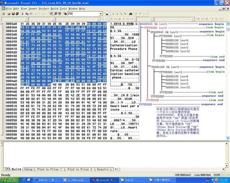 Magic Number魔数）是什么 Csdn博客