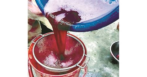 Как се пастьоризира гроздов сок Български Фермер