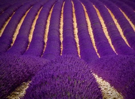 Земеделски производител от село Владимировци изпълнява европроект Eufunds