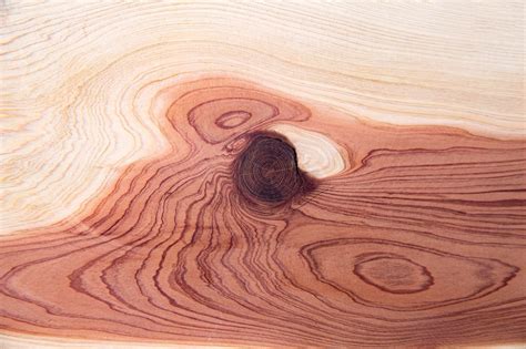 Premium Photo Texture Of A Longitudinal Section Of A Tree Trunk