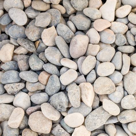 Pebbles Stones Pp005 Sade Botanik