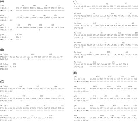 Alignment Of The Five Novel Hla Sequences Compare To The Most Alignment Of The Five Novel Hla Sequences Compare To The Most